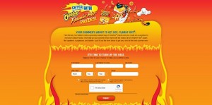 Chester’s Flamin’ Hot Summer Promotion (Summer.Cheetos.com)