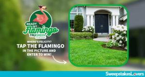 TruGreen Ready Set Flamingo Contest 2023